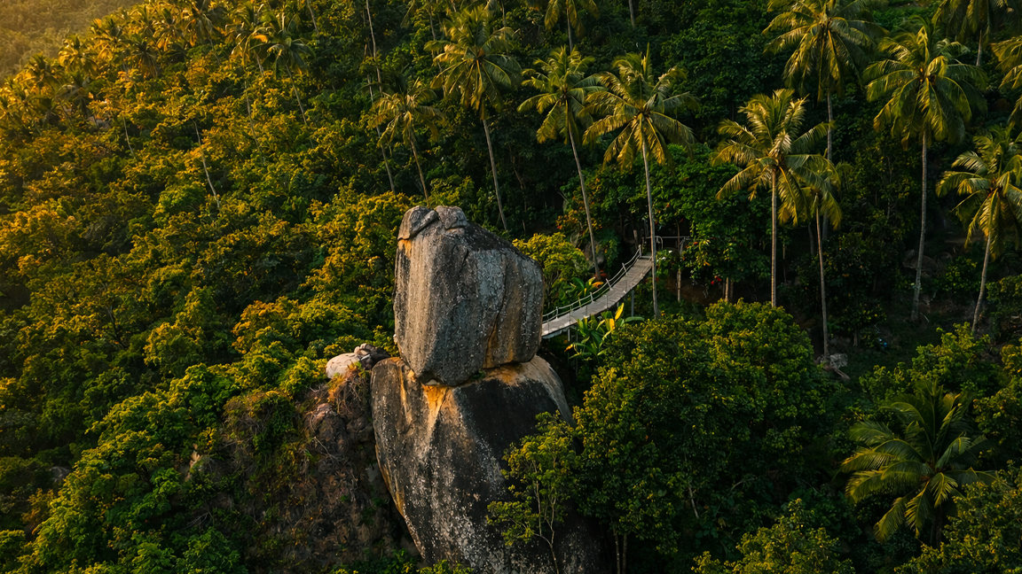 Un puente oculto en la selva rodeado de vegetación y enormes rocas