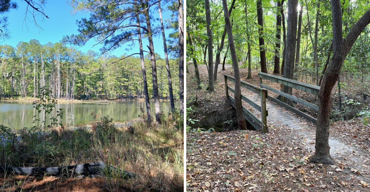 This North Carolina nature center is a family favorite for trails ...