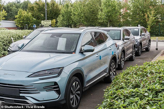 EVs hit record sales in reaction to surging fuel prices and ...