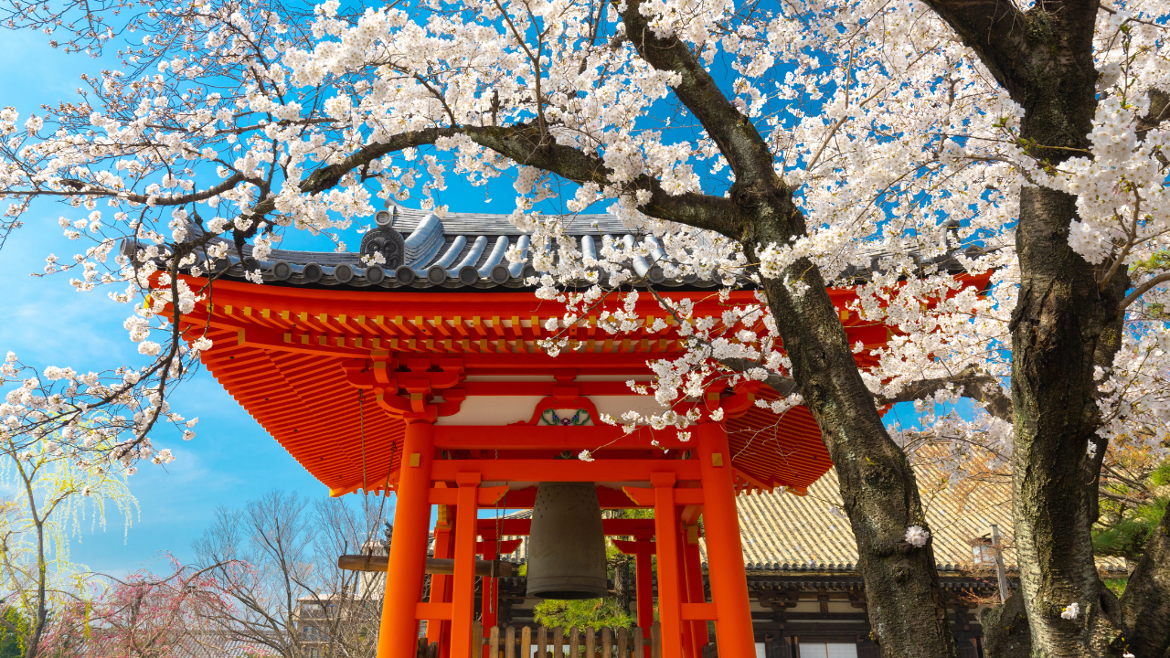 6 Japanese ideas that quietly help calm an overthinking mind
