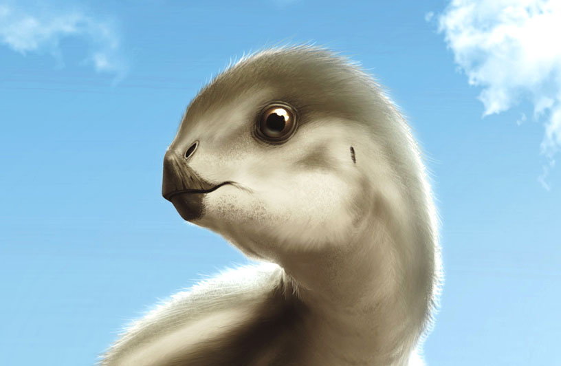 Adorable baby dinosaur so cute it’s been named after cartoon character