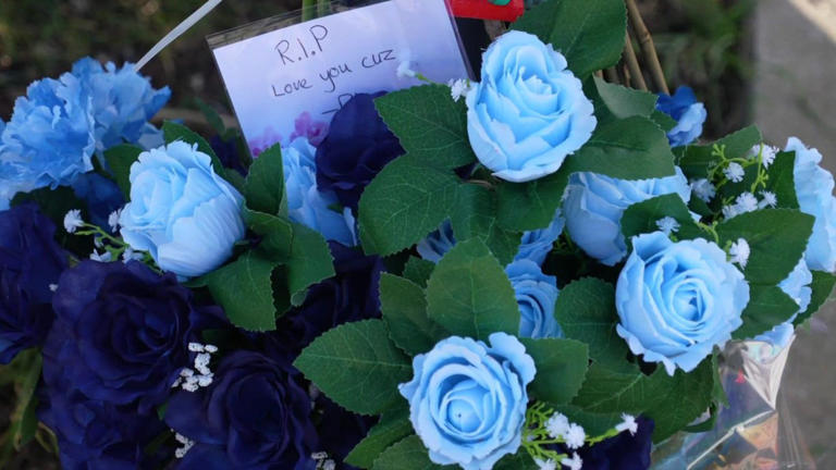 Stabbing prompts knife crime plea as family mourns