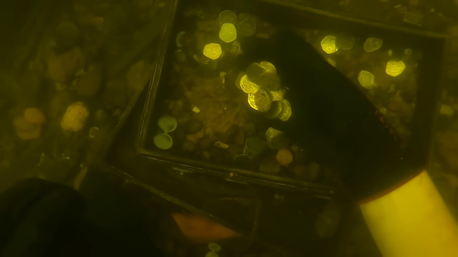 Divers searched a sunken warship for history - what they found looked ...