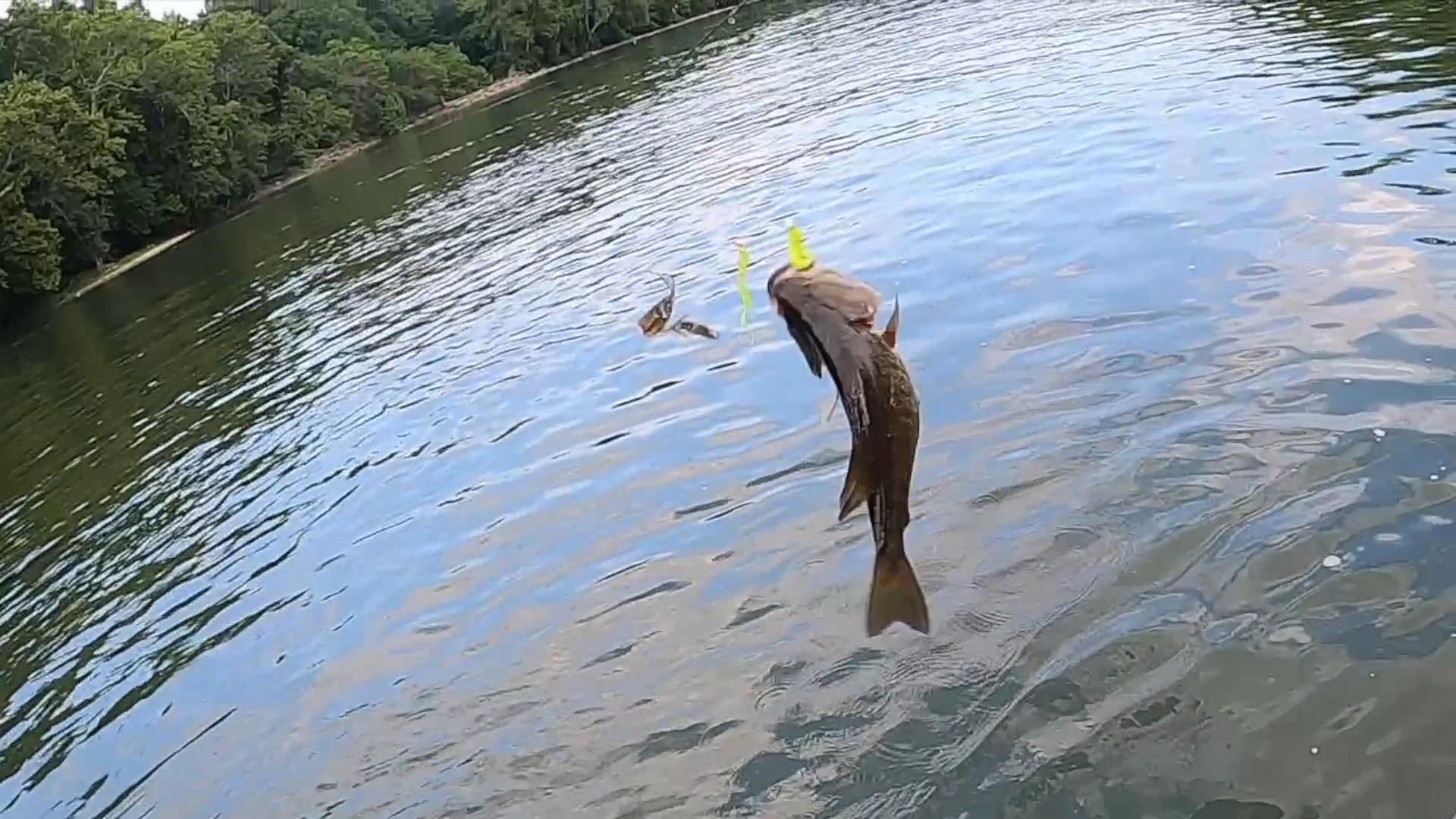A clean hookup, a big jump, and then the one mistake that lost the fish