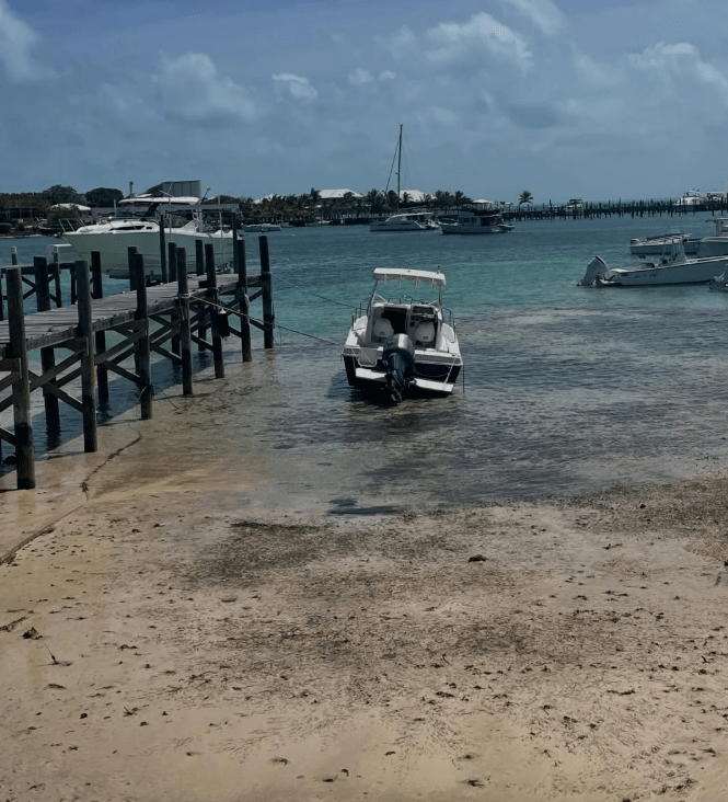 American woman missing in Bahamas after going overboard during boat ...