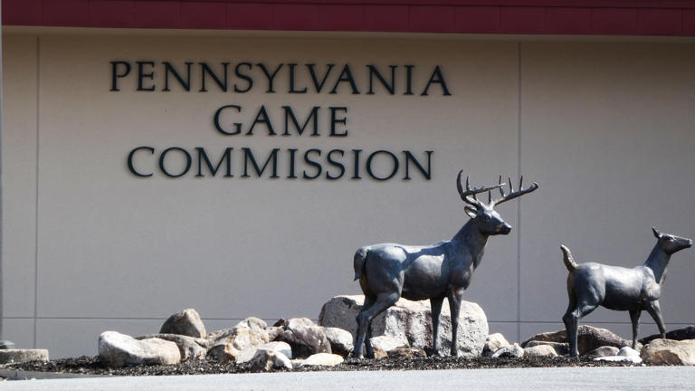 Pennsylvania Game Commission meeting April 10-11: Deer, elk seasons up ...