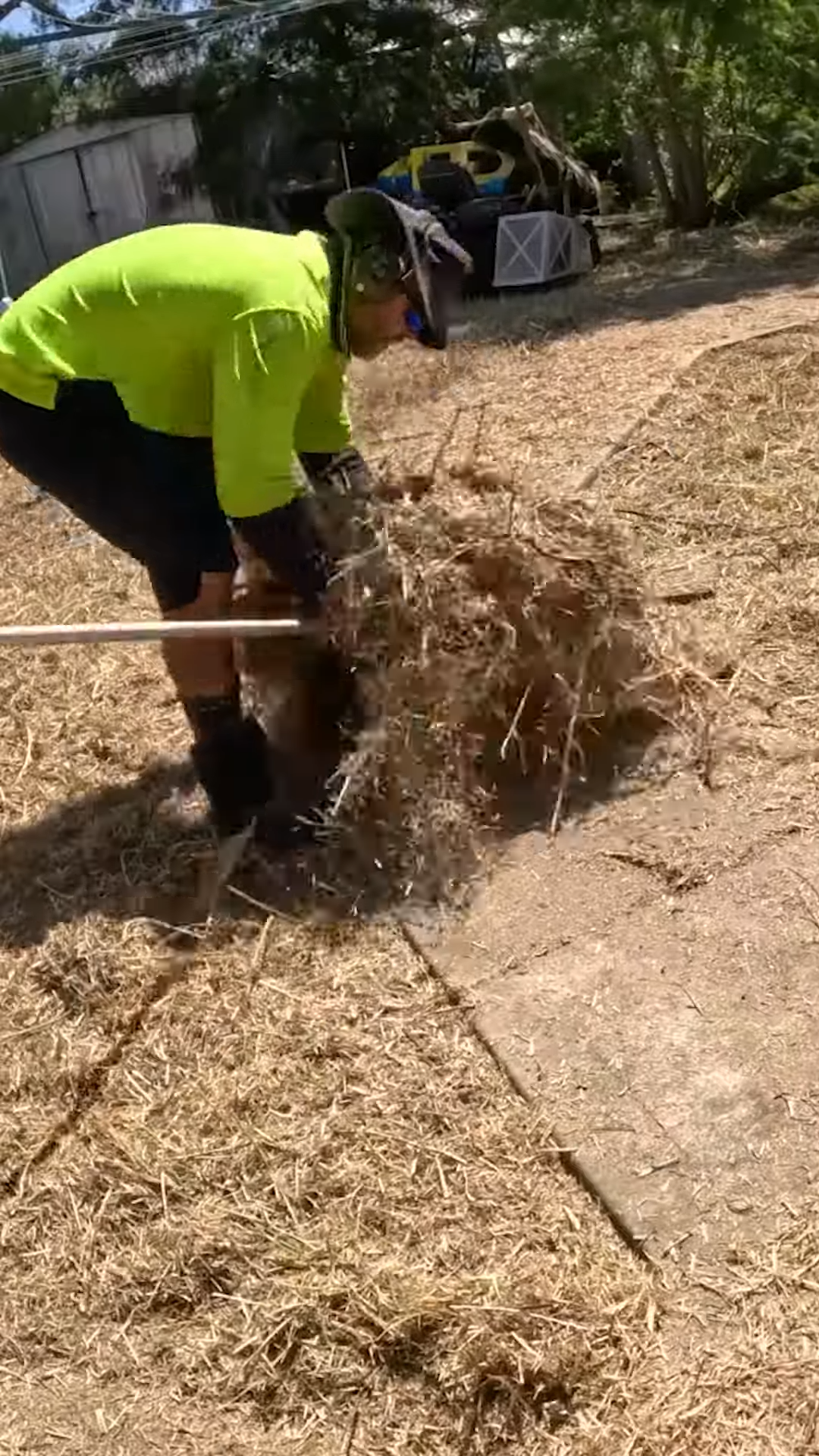 Voluntary yard cleanup reveals what was hidden under overgrown grass