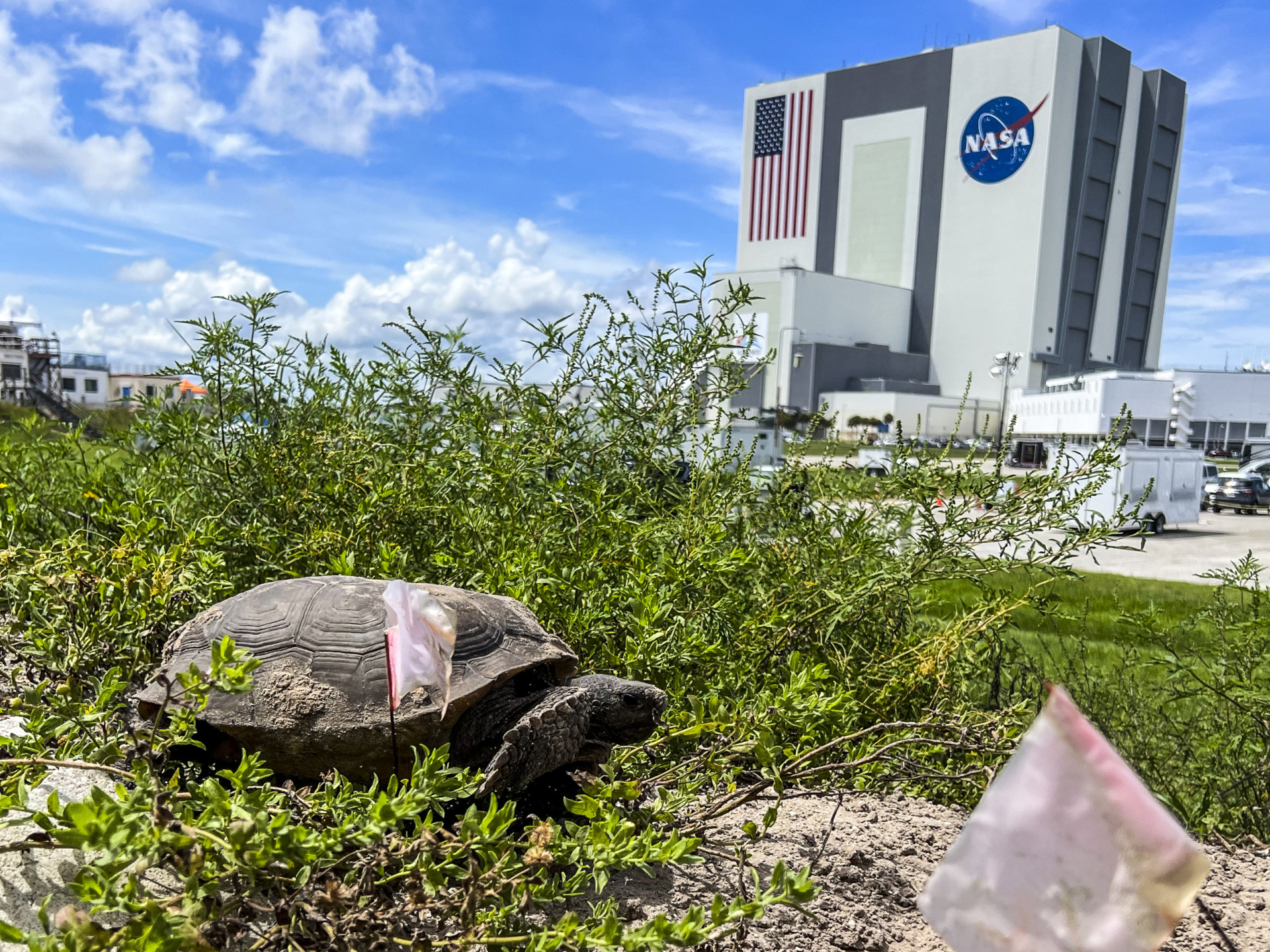 Why hasn’t anyone gone to the moon for over 50 years?