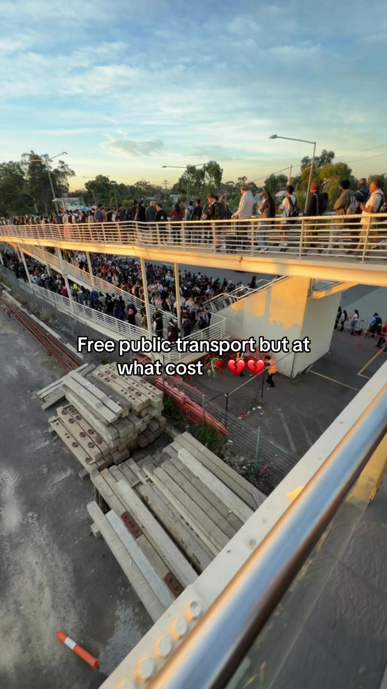 Single image that exposes how fuel shortage solution has backfired ...