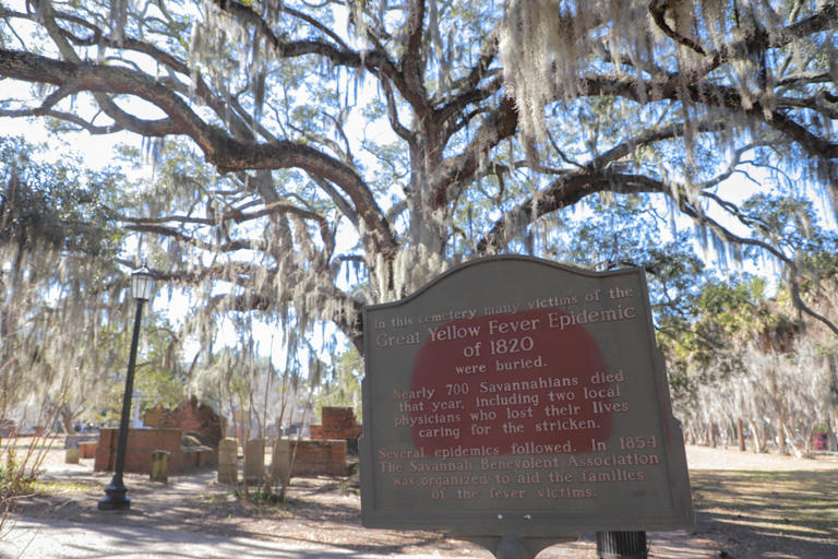 How Savannahians responded when yellow fever struck