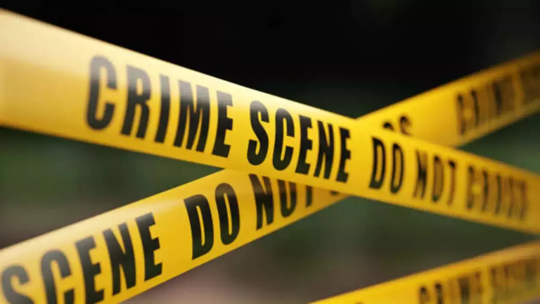 Gurugram horror: Caretaker turns killer, slits owner’s throat with sickle