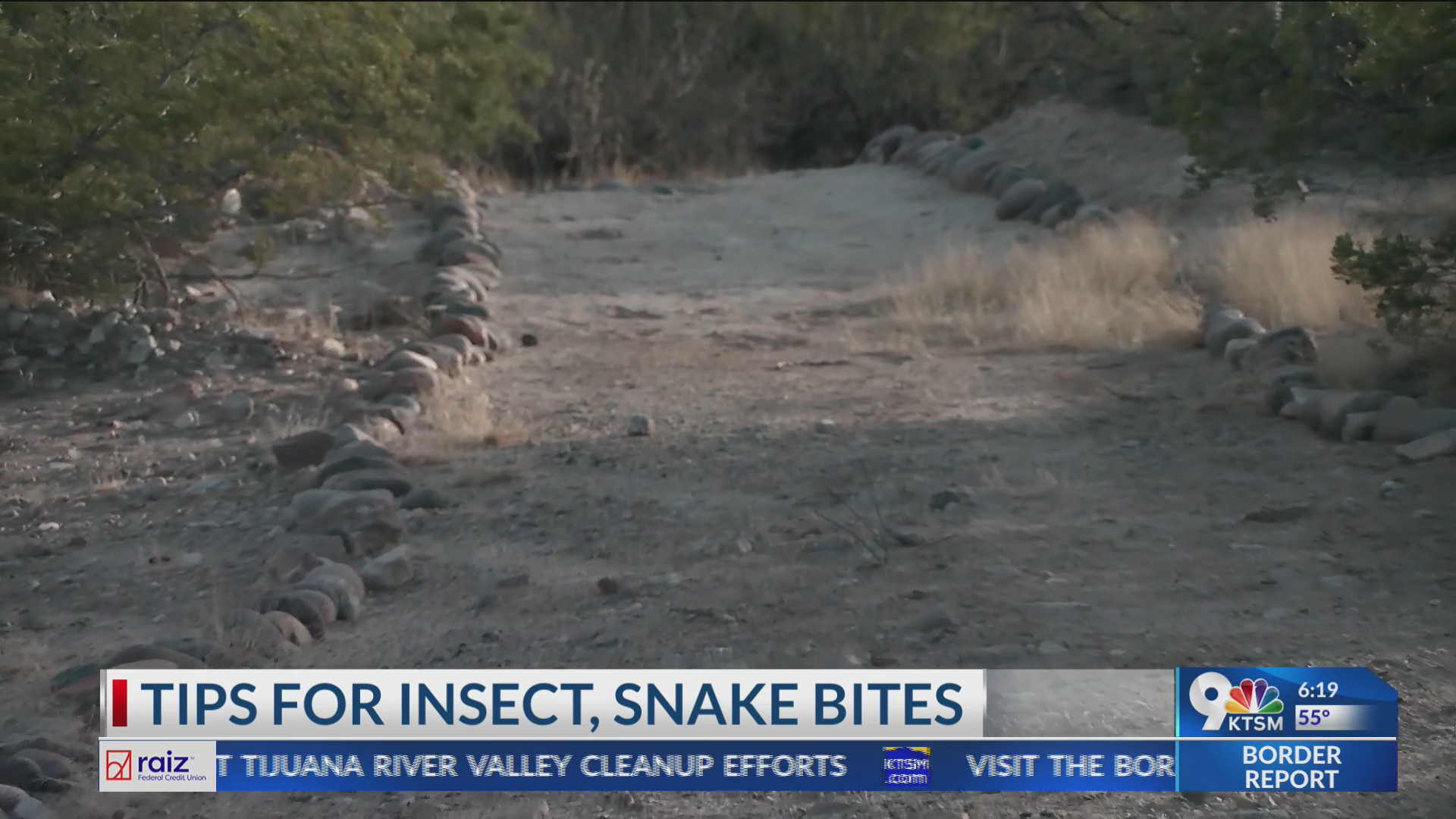 Tips for insect and snake bites