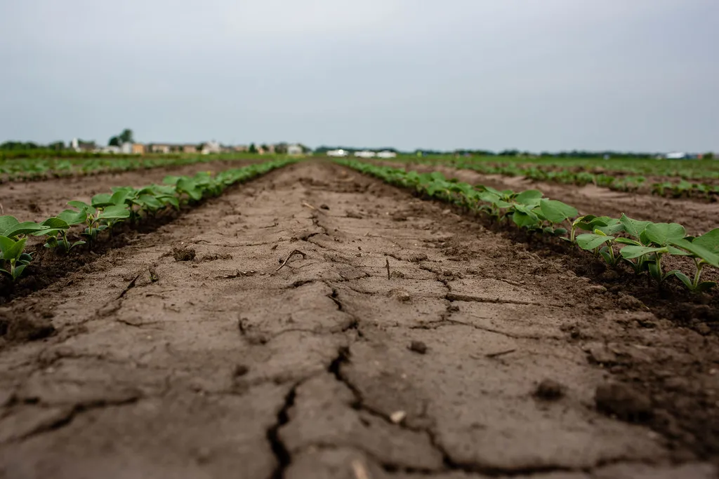 A new "dust bowl" is forming in the Midwest - and number 3 is key