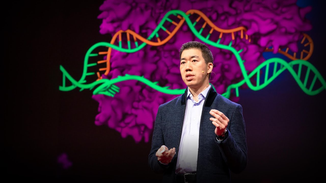 Do you have a genetic disease - and could DNA editing fix it?