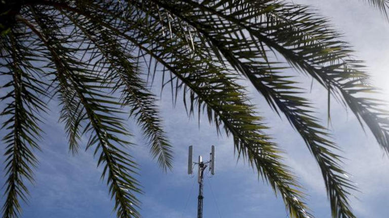 Will Tampa Bay area development add cell tower? Neighbors aren’t happy