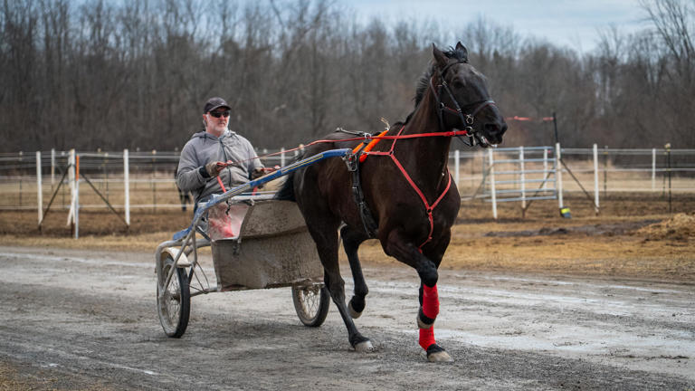 Onde de choc en Ontario et au Québec après la fermeture de l’hippodrome ...