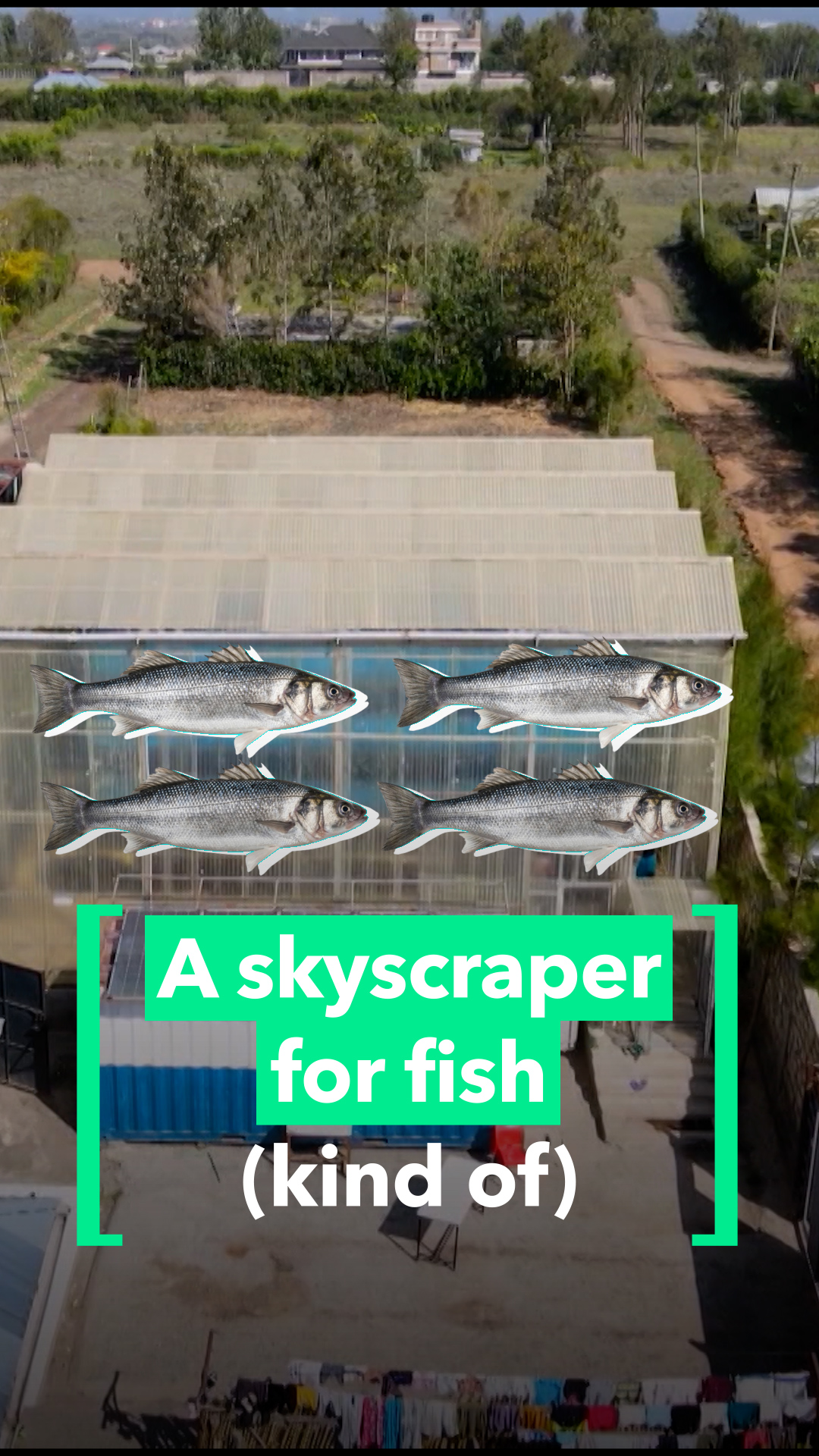 A skyscraper for fish?