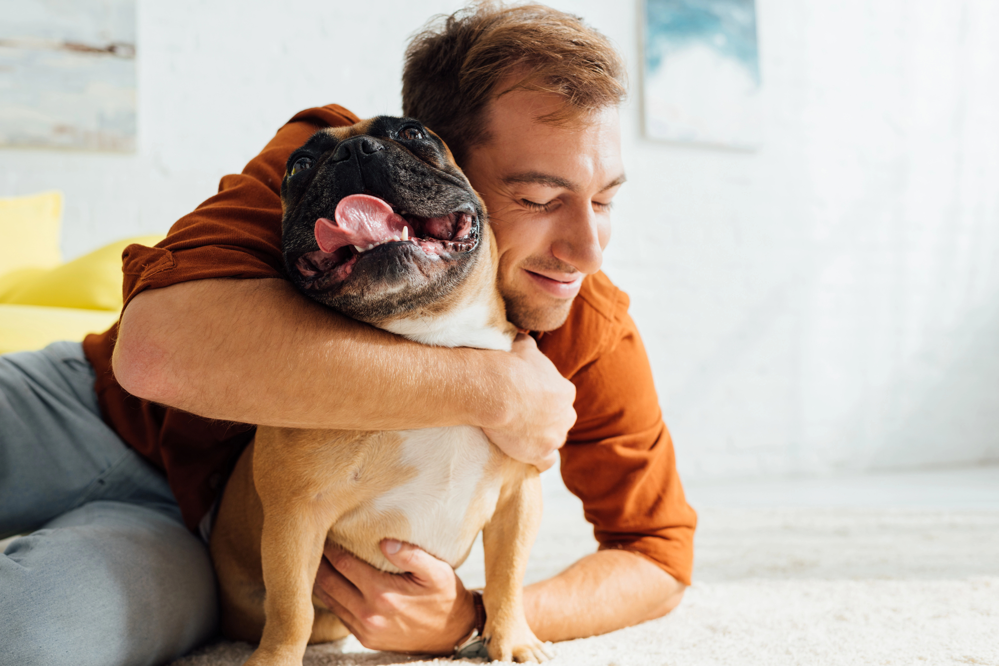 16 steps to building a pet emergency kit for peace of mind