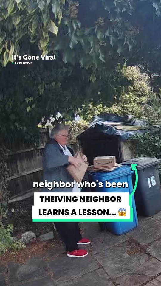 Thieving neighbour learns a lesson