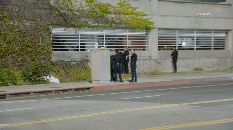 Assault call leads to discovery of body in bushes near LA Convention Center