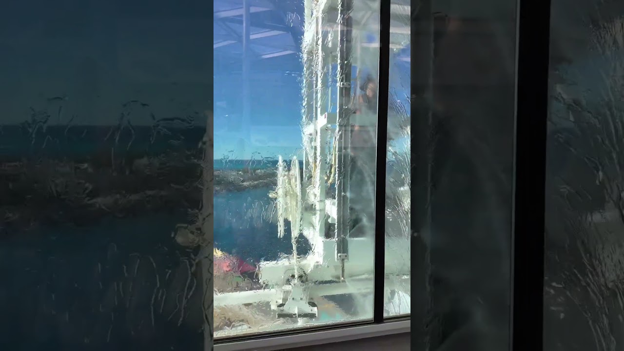 Would you do this job on a cruise ship? | Wonder of the Seas