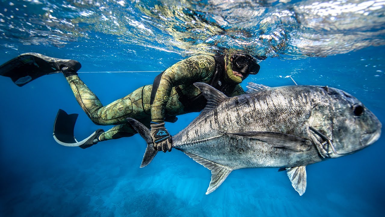 Finally spearing my dream fish on a 104ft dive