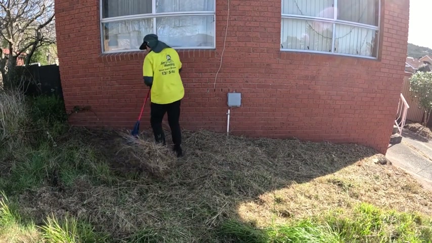 I transformed a stranger's overgrown yard! 🌿