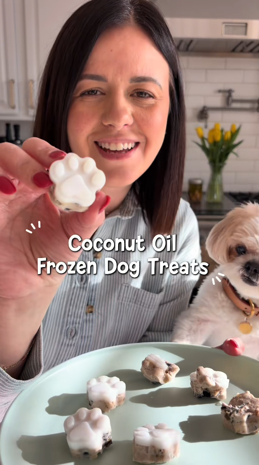 Homemade frozen coconut oil dog treats dogs love to eat