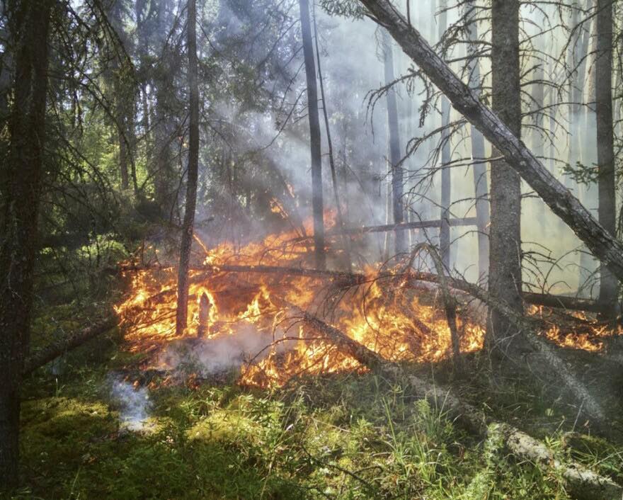 Mecklenburg issues full outdoor burn ban as fire risk rises