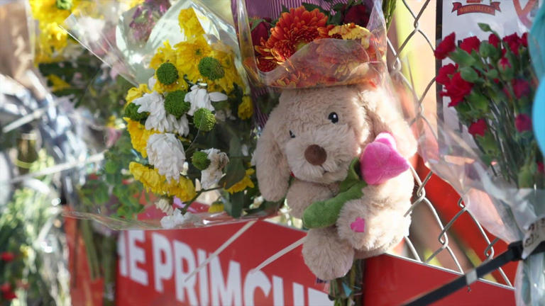 Stabbing prompts knife crime plea as family mourns