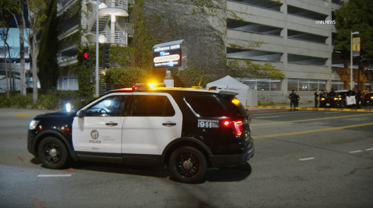Assault call leads to discovery of body in bushes near LA Convention Center