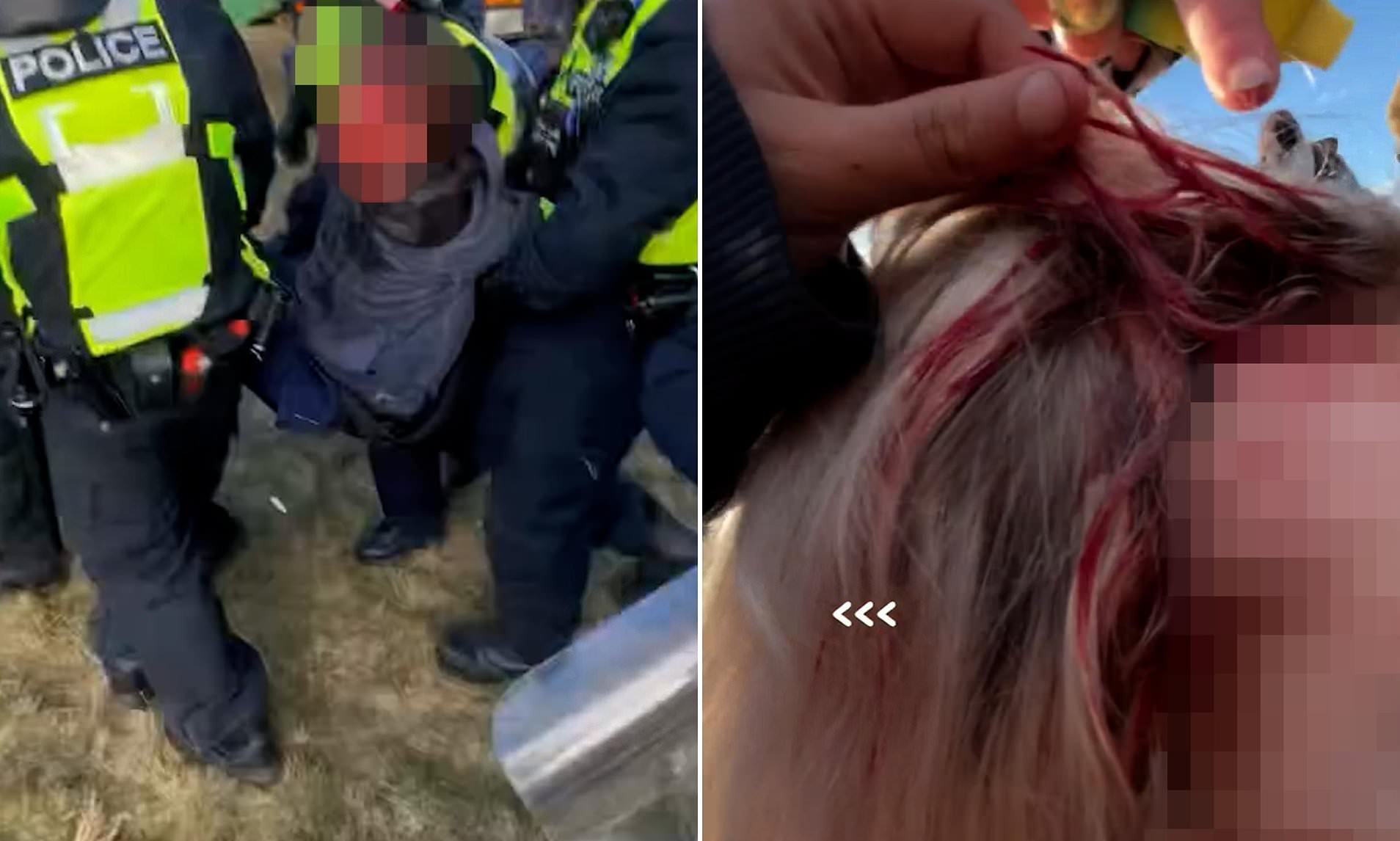 Moment illegal raver is left bloodied and battered after police beat ...