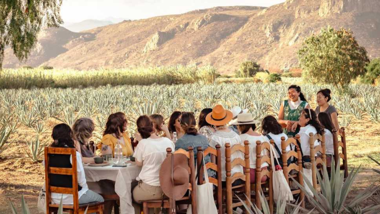 16 best agave and tequila tasting tours in Mexico to try