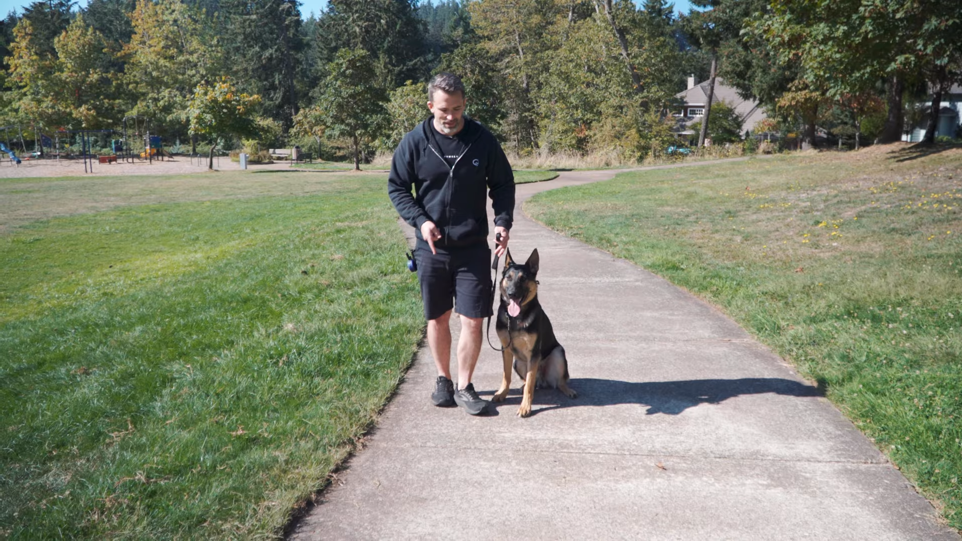 The street test every dog should learn before off-leash freedom becomes ...