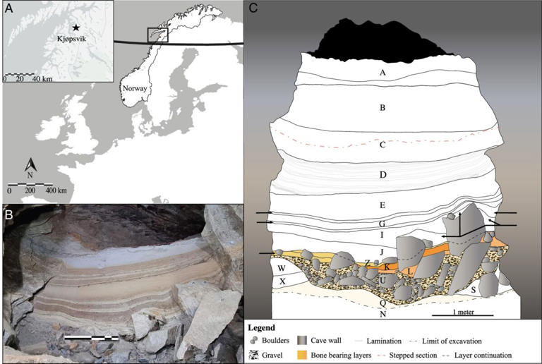 Scientists Discovered 46 Arctic Species in a Norwegian Cave Preserved ...