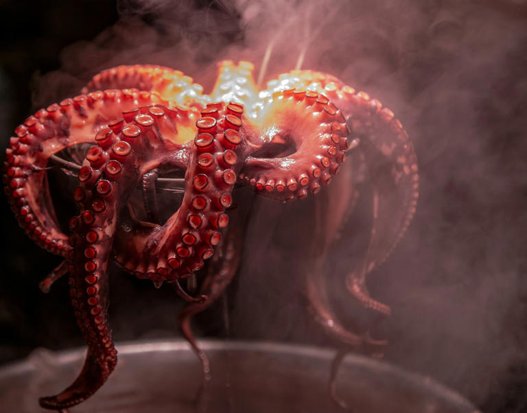 New law bans boiling lobsters, crabs, and octopuses alive as research ...