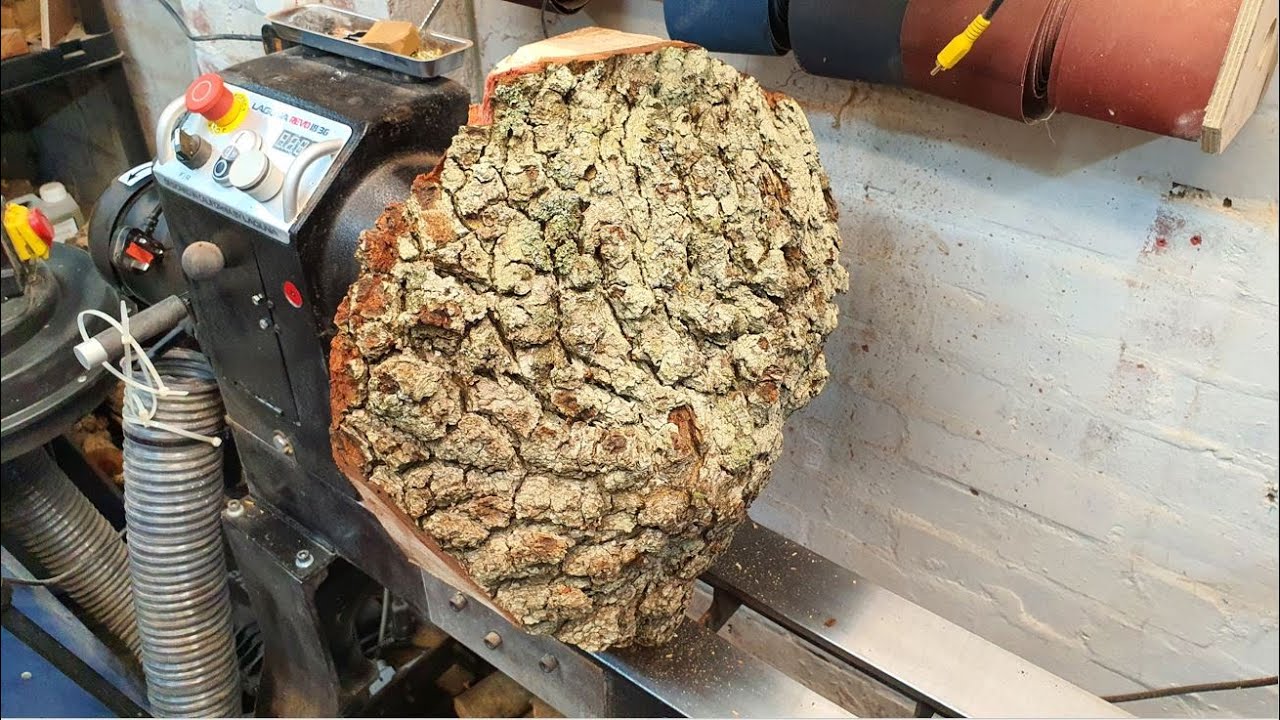 Creating art from the big oak burl