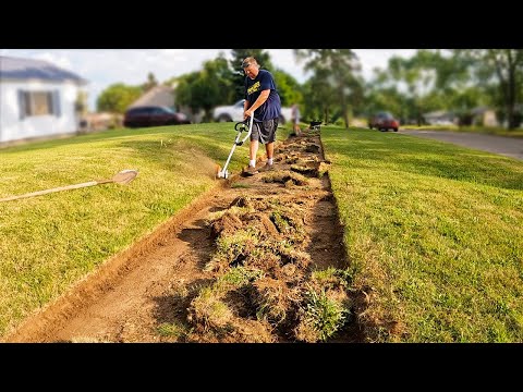 Uncovering a hidden sidewalk: Extreme overgrowth cleanup transformation!