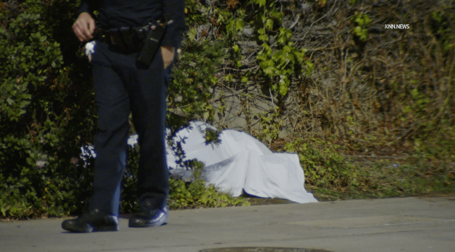 Assault call leads to discovery of body in bushes near LA Convention Center