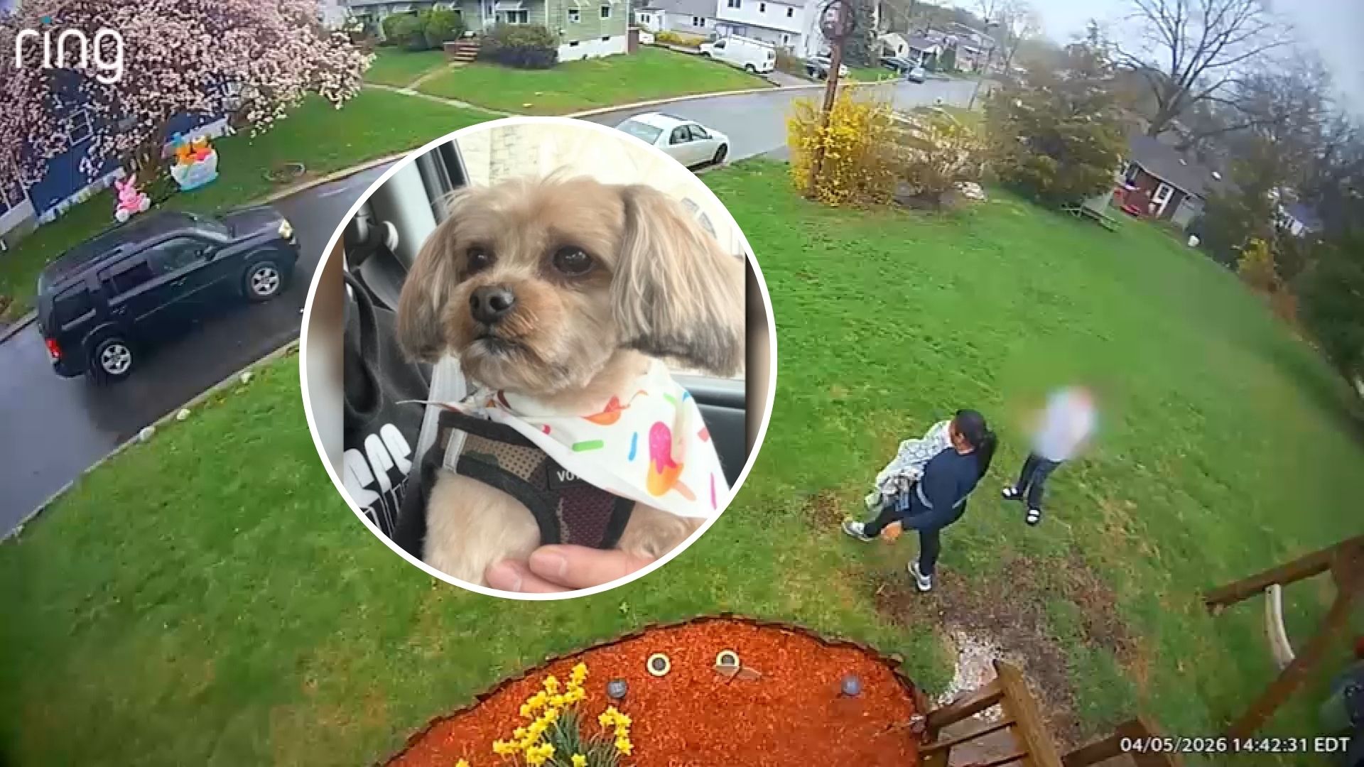 Woman, child seen snatching dog from family's backyard in NJ