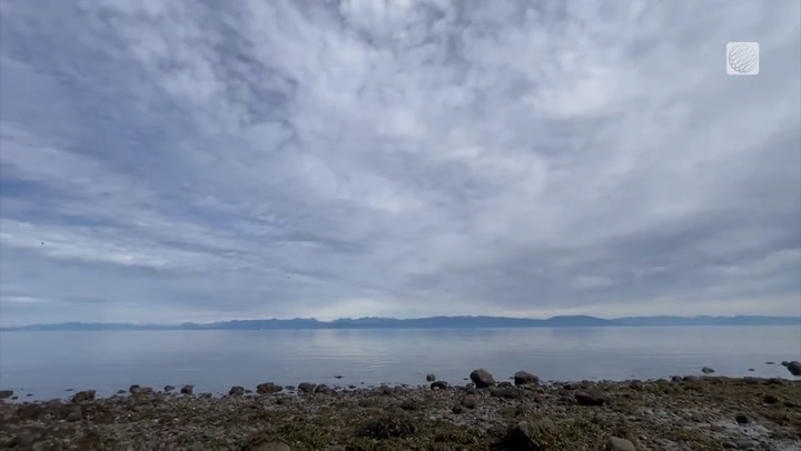 A serene day of solitude along the beach in Nanaimo, BC