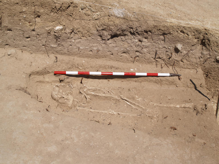 DNA reveals ancestry of man buried in Stone Age tomb in Spain, but his ...