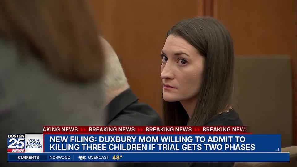Lindsay Clancy willing to admit to killing her kids if court splits ...