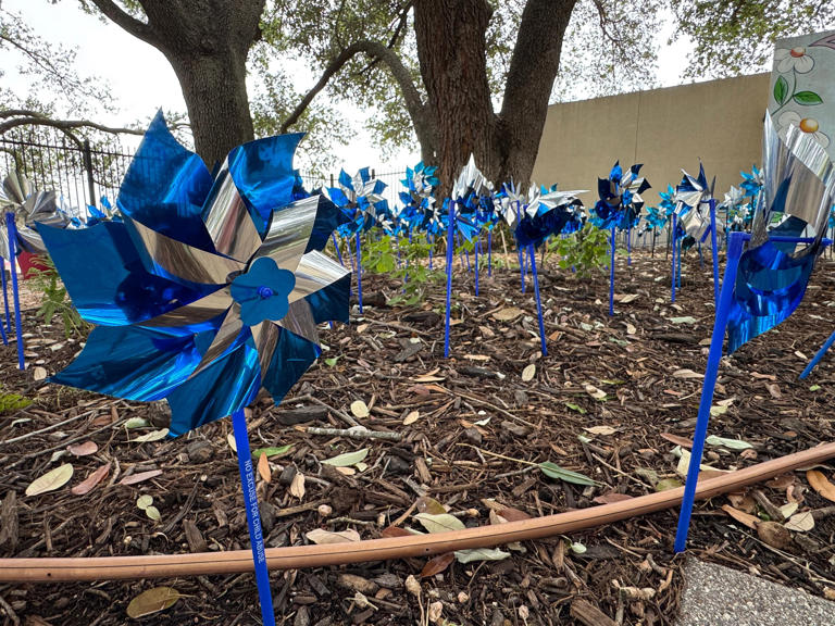 McLane Children’s event spotlighted fight to prevent child abuse in ...