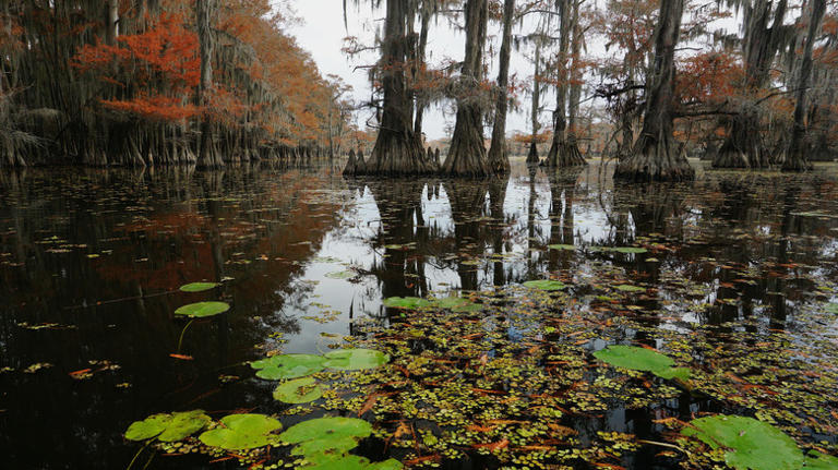 The 10 best places to go camping in Texas, according to visitors