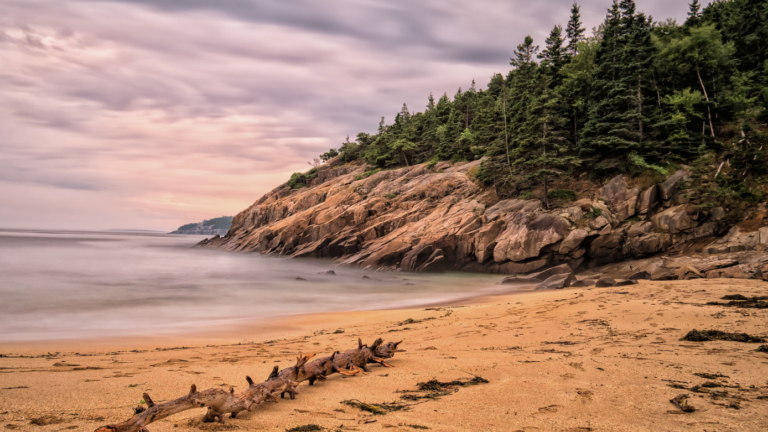 TravelMag went on a seafood road trip in Maine and named these 'can't ...