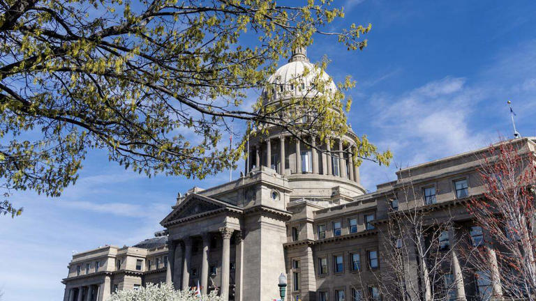 Pollen levels jump after days of allergy relief. What is the Boise ...