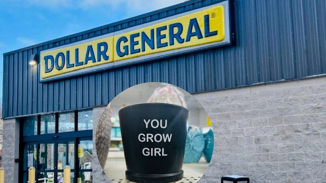Create your dream she shed! 11 Dollar General decor steals $15 and under