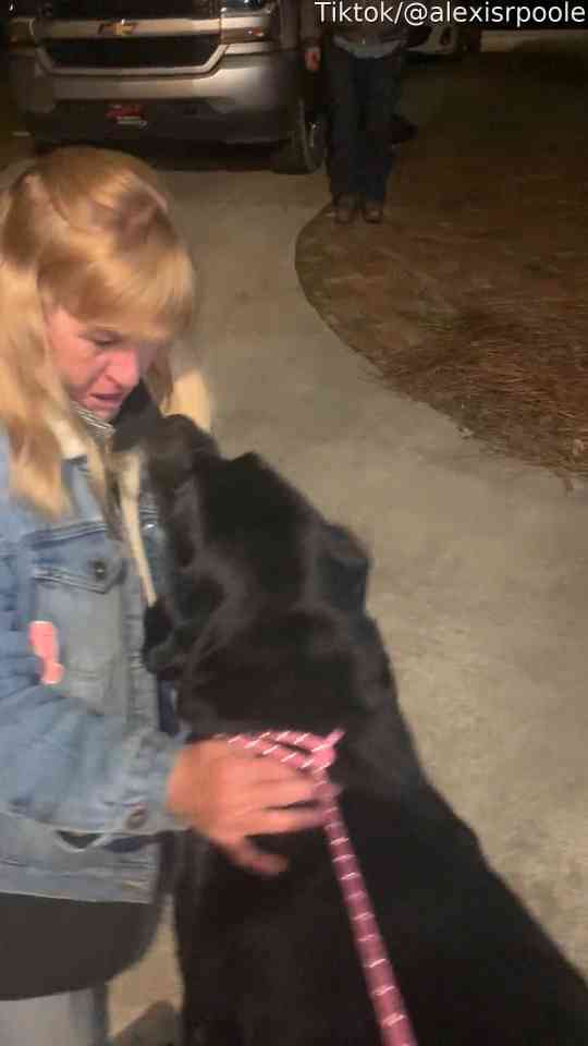Lost dog reunited with owners after two years apart