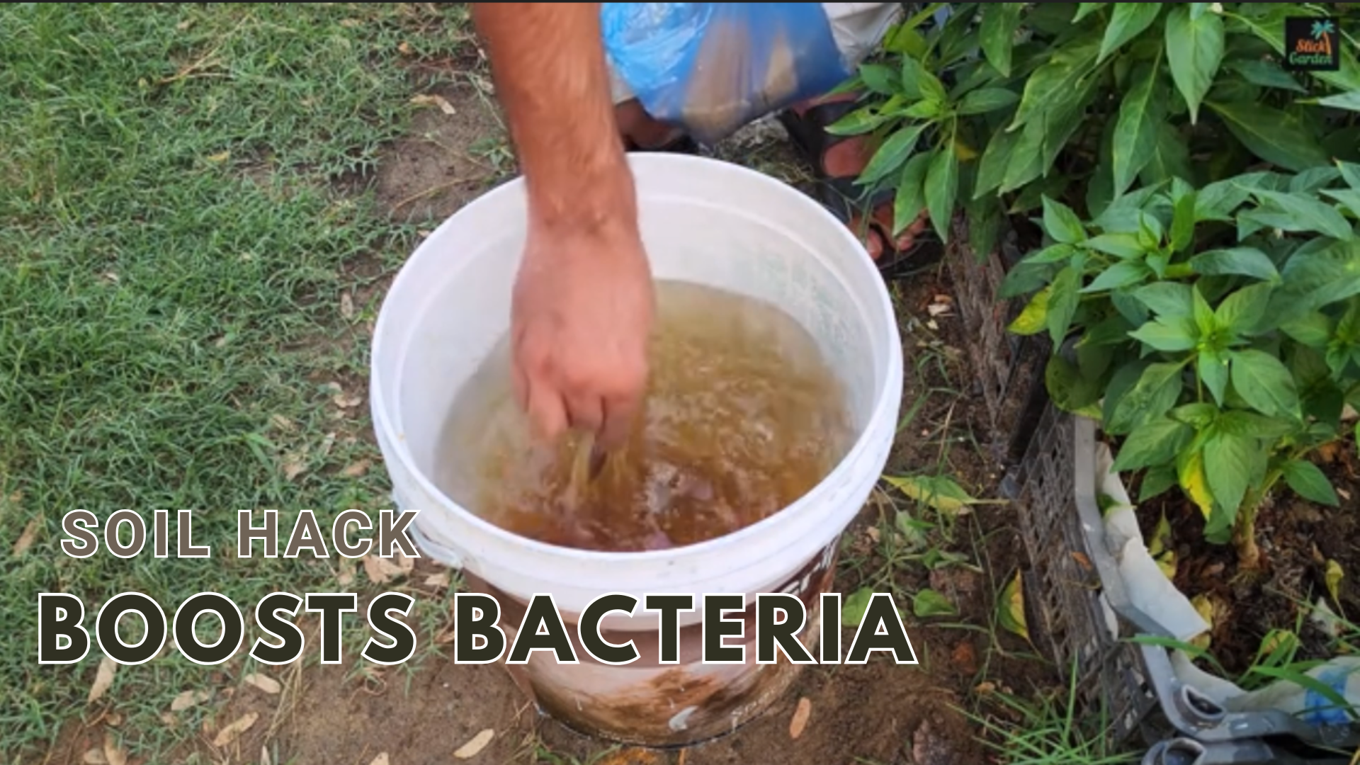 Simple soil method that supercharges beneficial bacteria growth